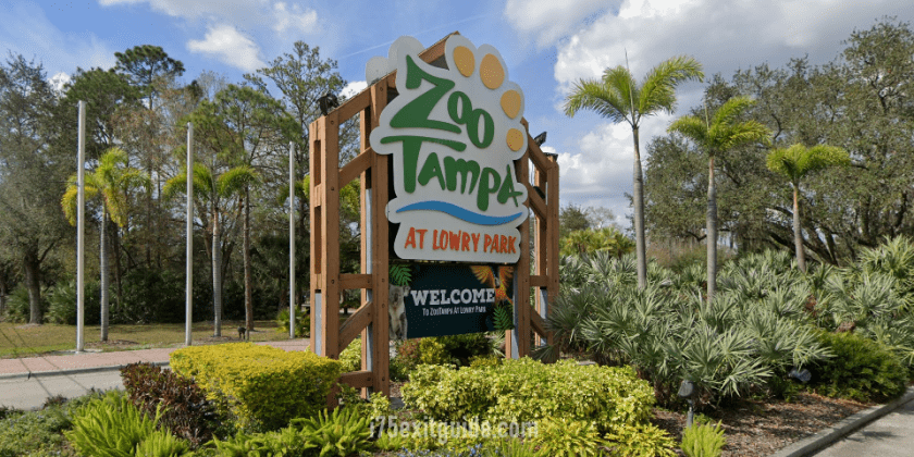 ZooTampa at Lowry Park - Tampa, FL | I-75 Exit Guide
